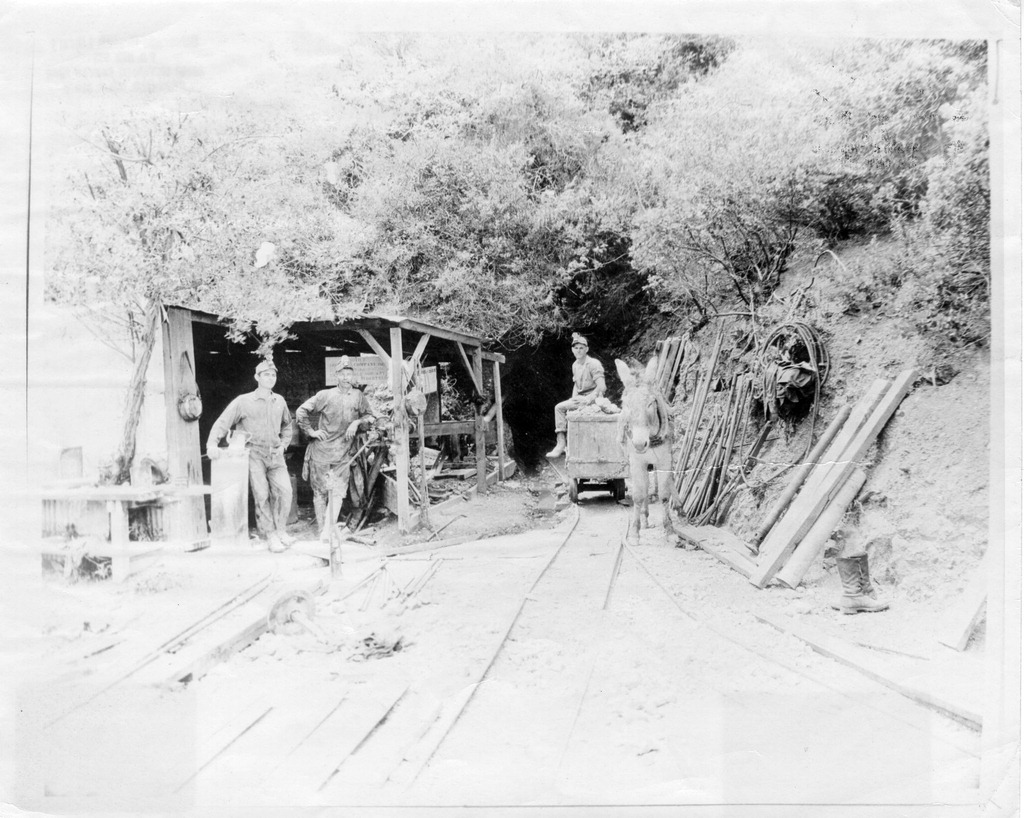 Blue Light Mine – Explore Real California Gold Mines!