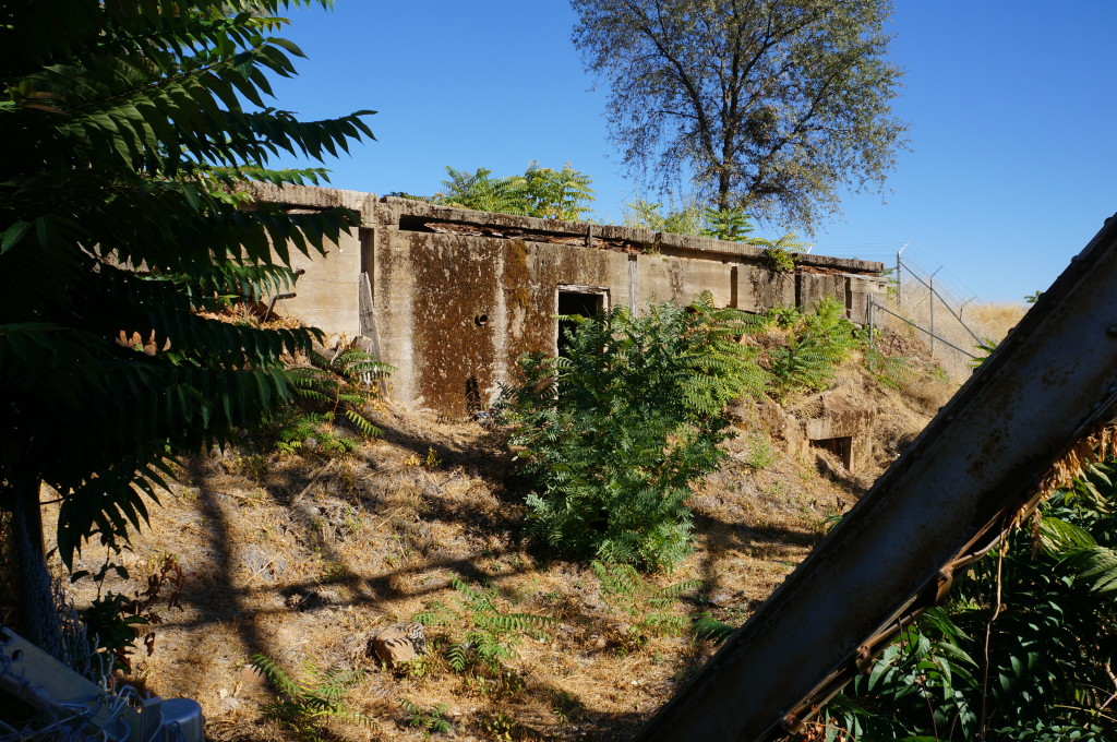 Central Eureka Mine – Explore Real California Gold Mines!