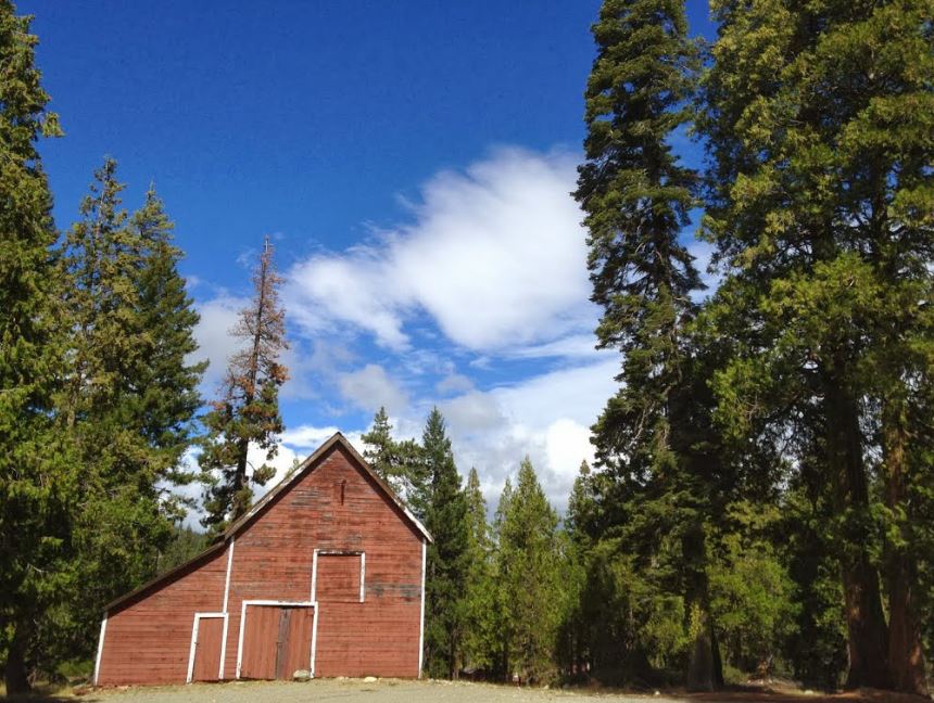 Jamison Mine (Jamison City) – Explore Real California Gold Mines!