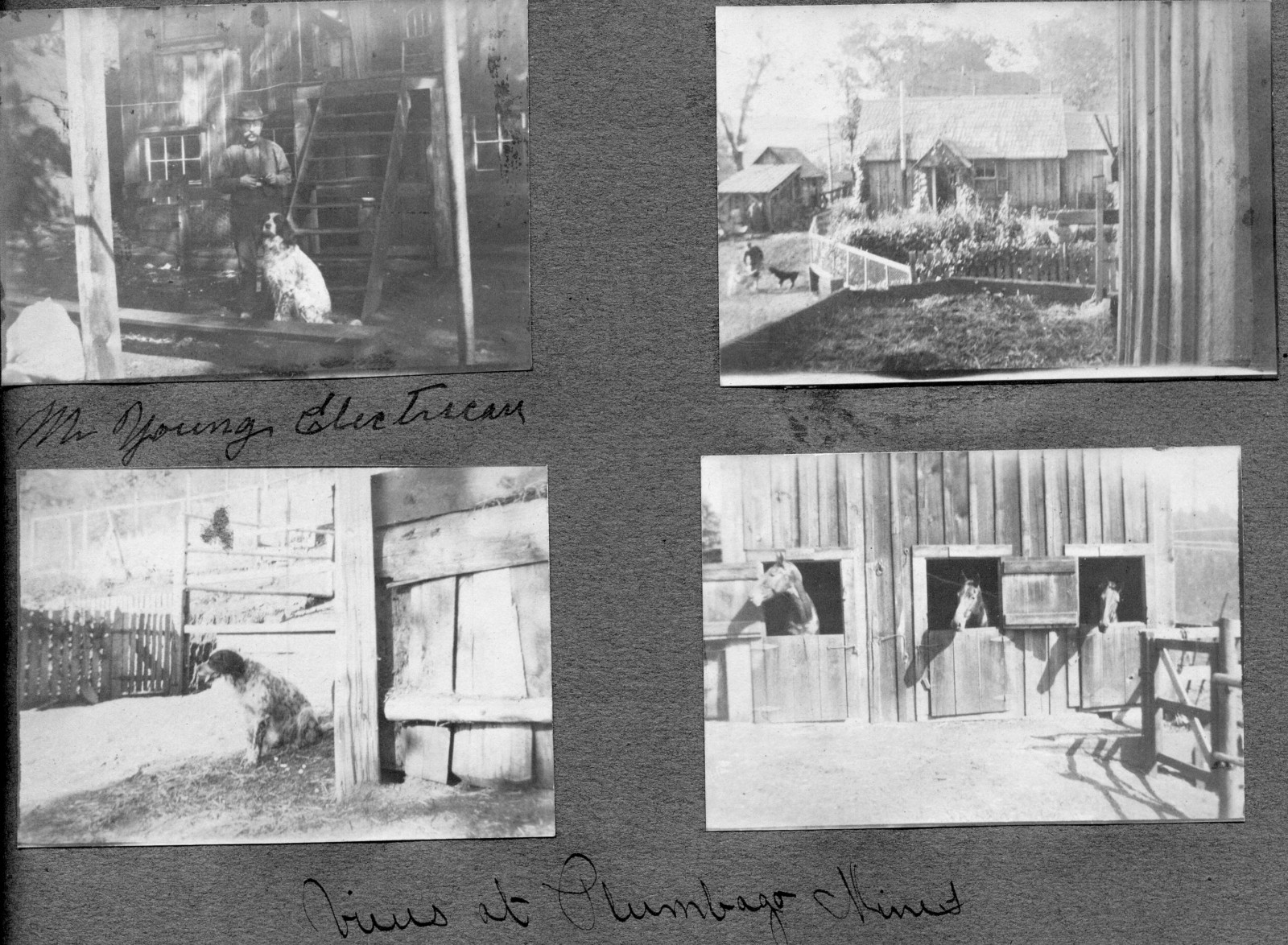Plumbago Mine & Mill – Explore Real California Gold Mines!