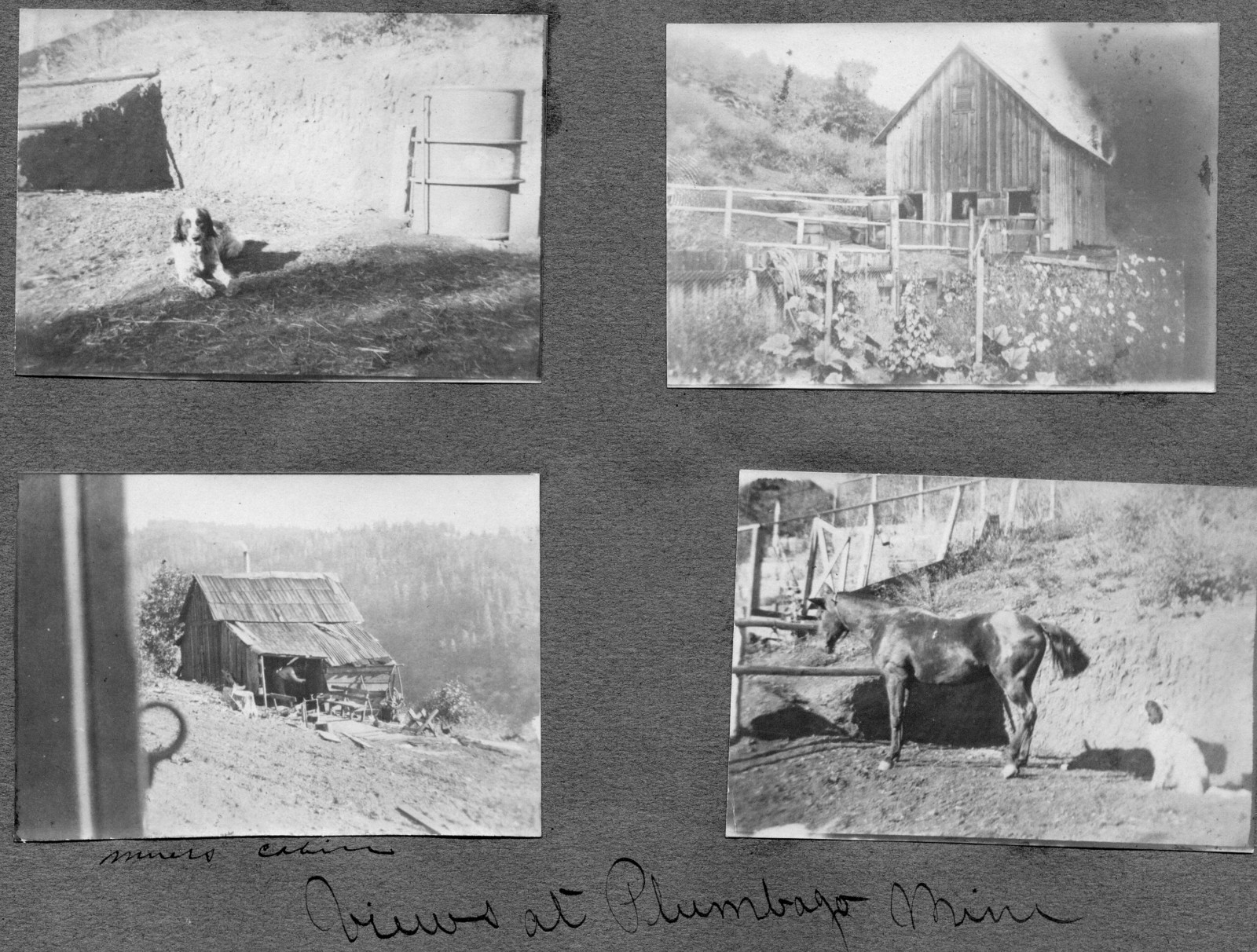 Plumbago Mine & Mill – Explore Real California Gold Mines!