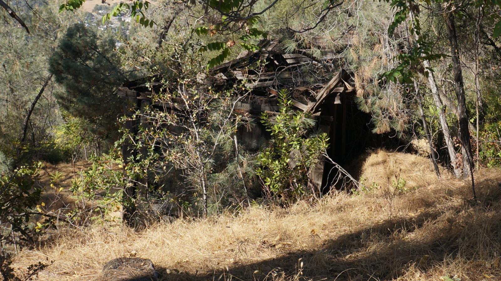 Central Eureka Mine – Explore Real California Gold Mines!
